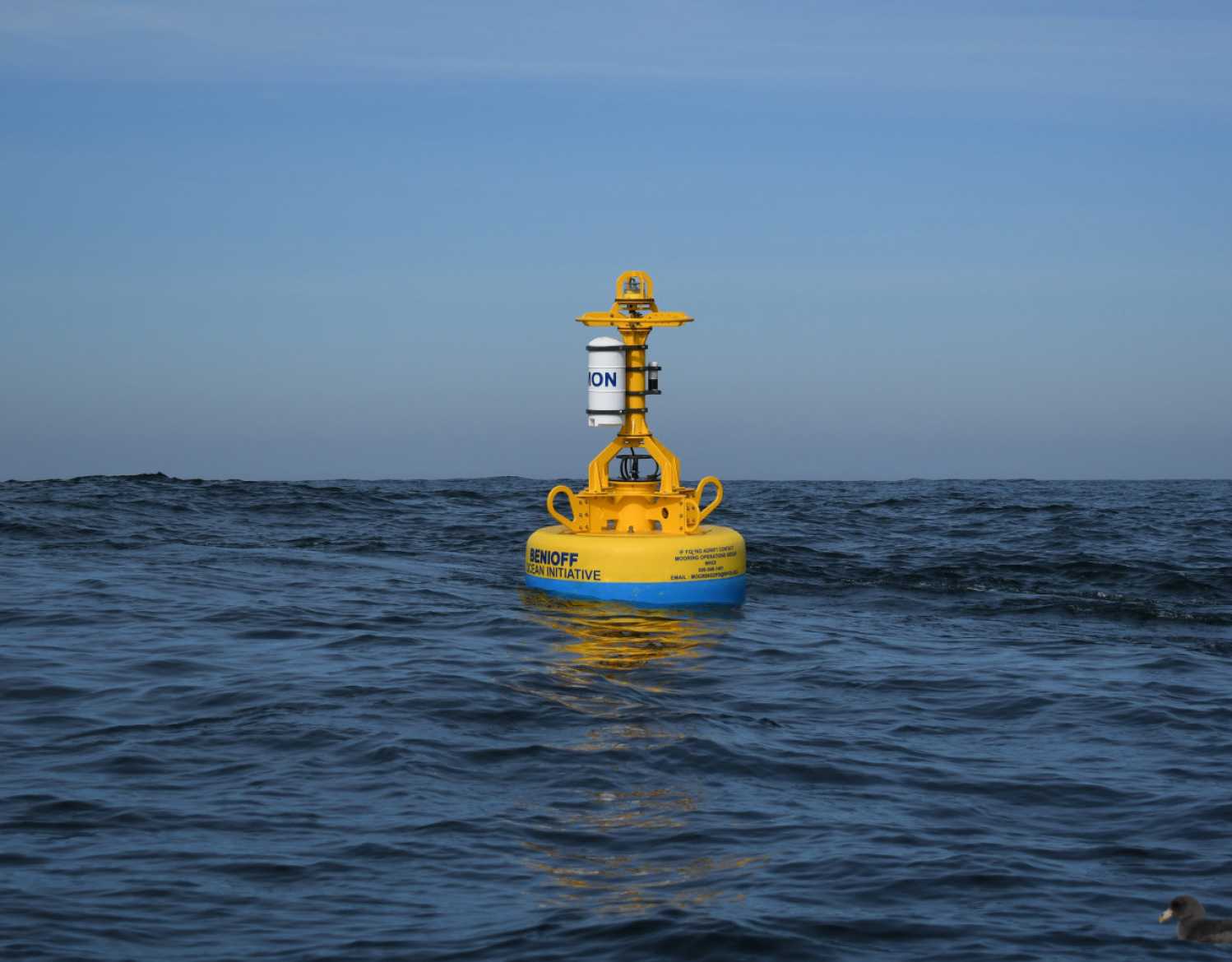 Conservation Technology: 5 Innovations In Ocean Health | The Marine ...