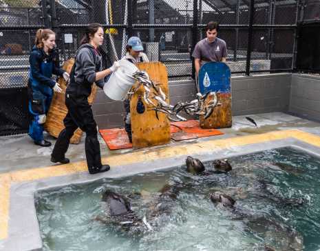 Marine Mammal Protection Act | The Marine Mammal Center