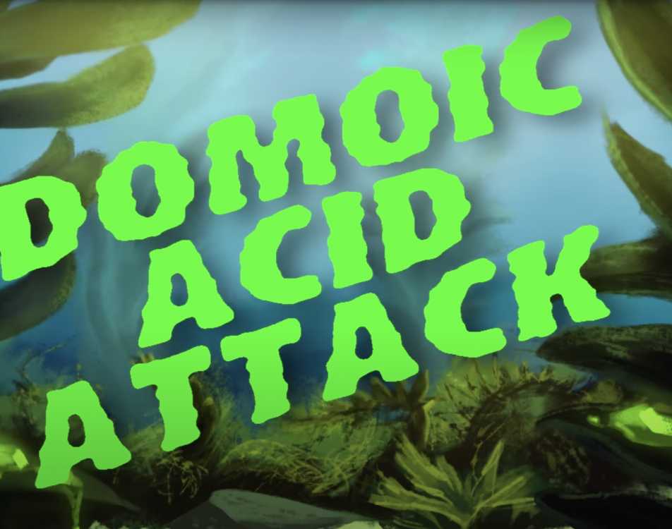 Domoic Acid Attack | The Marine Mammal Center