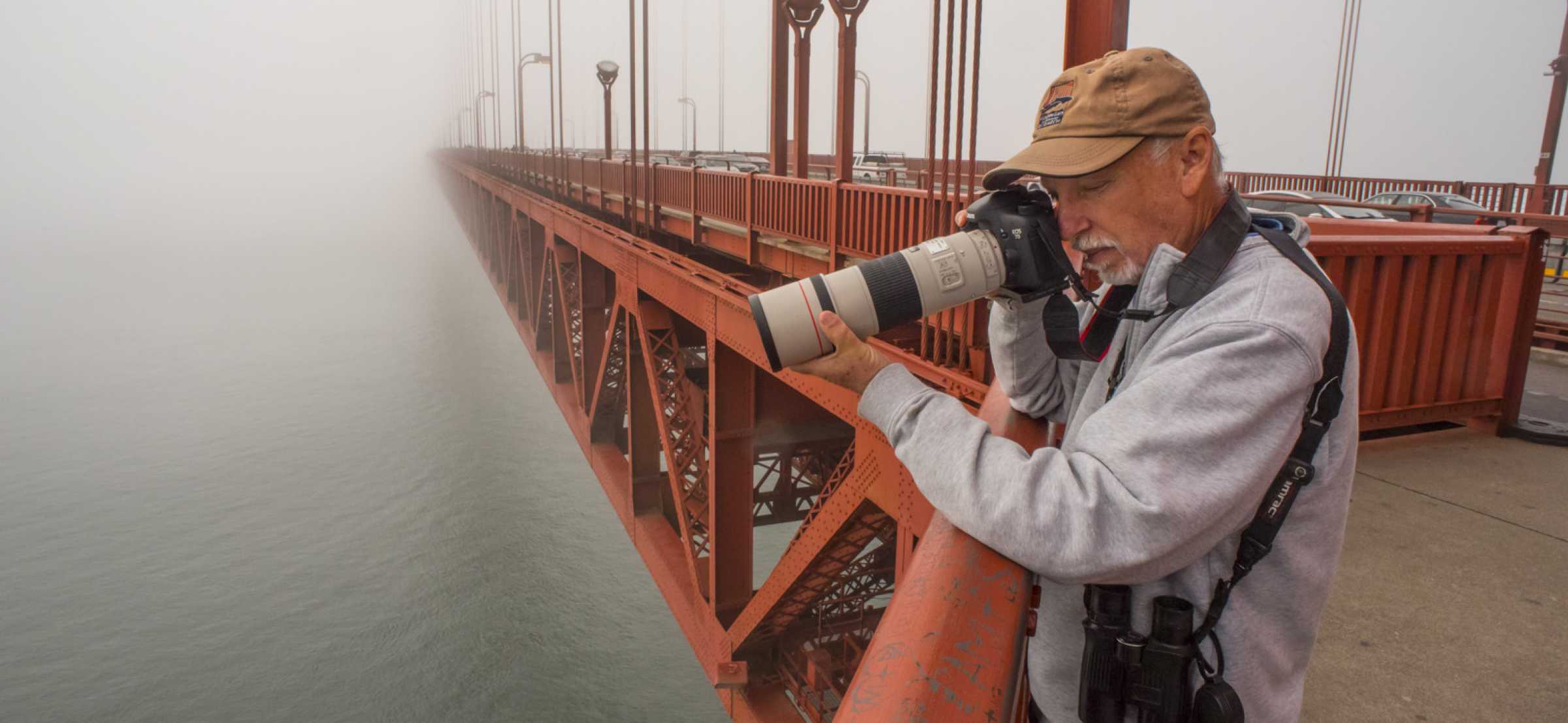 Your Visual Guide to Whale Breaching, Lunge Feeding and Other Behaviors ...