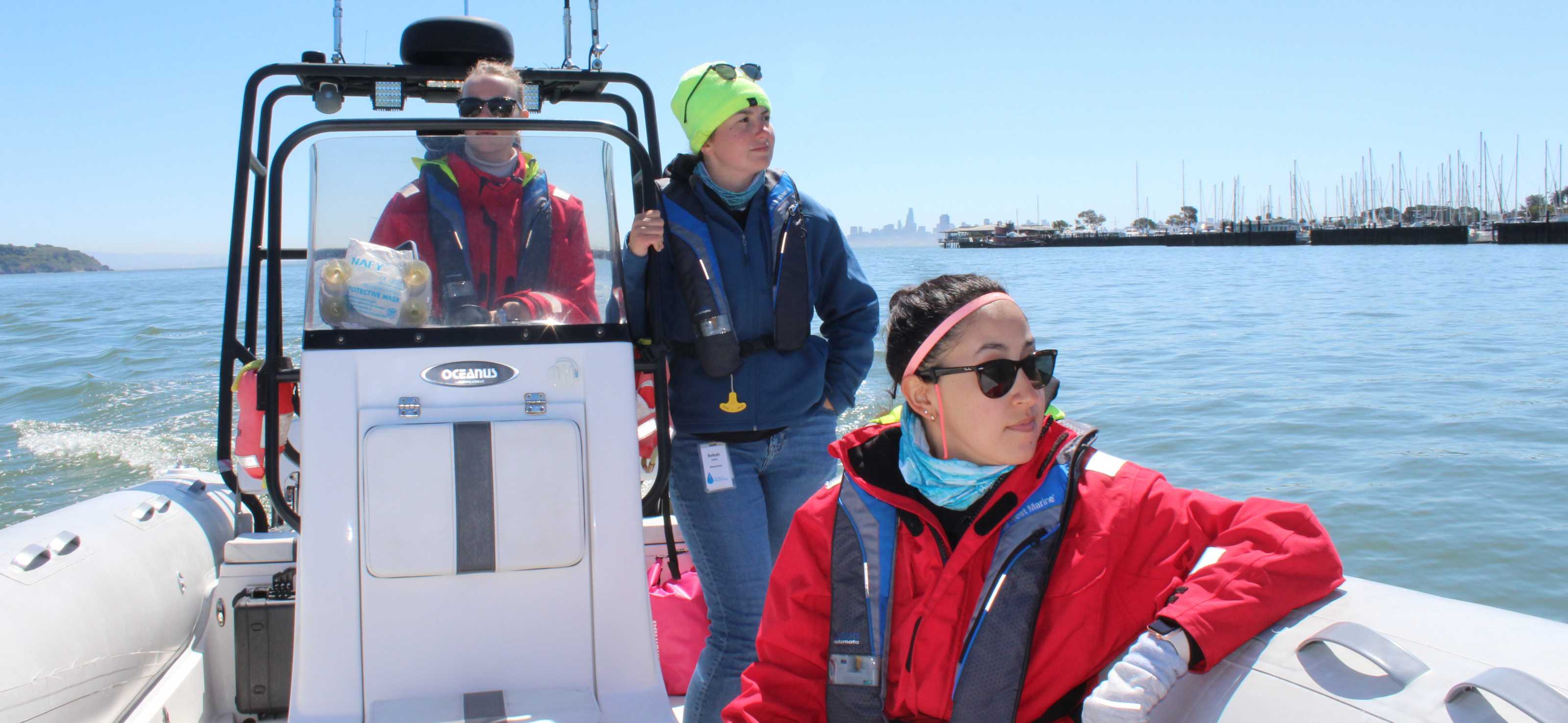 Your Visual Guide to Whale Breaching, Lunge Feeding and Other Behaviors ...