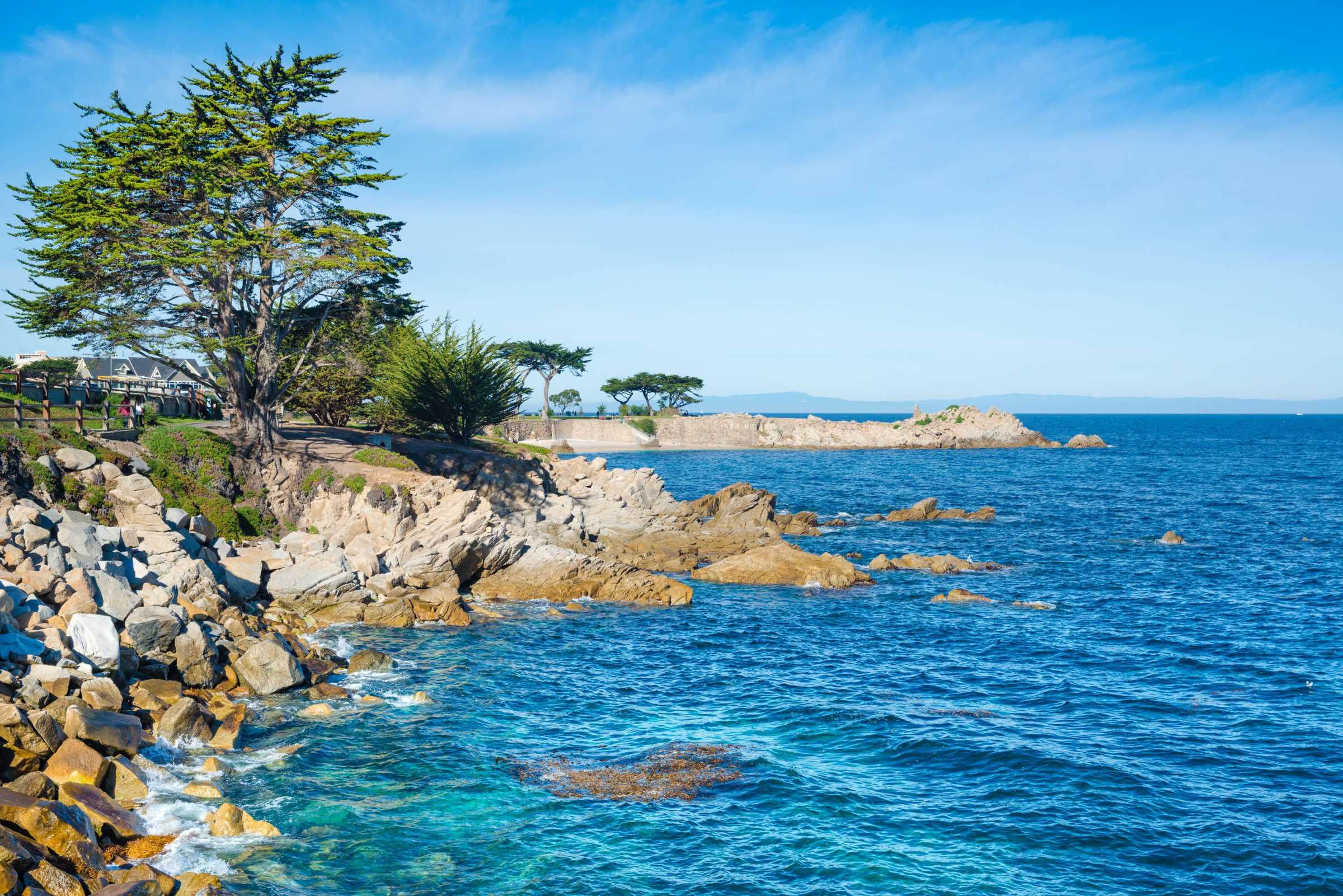 Monterey and Santa Cruz | The Marine Mammal Center