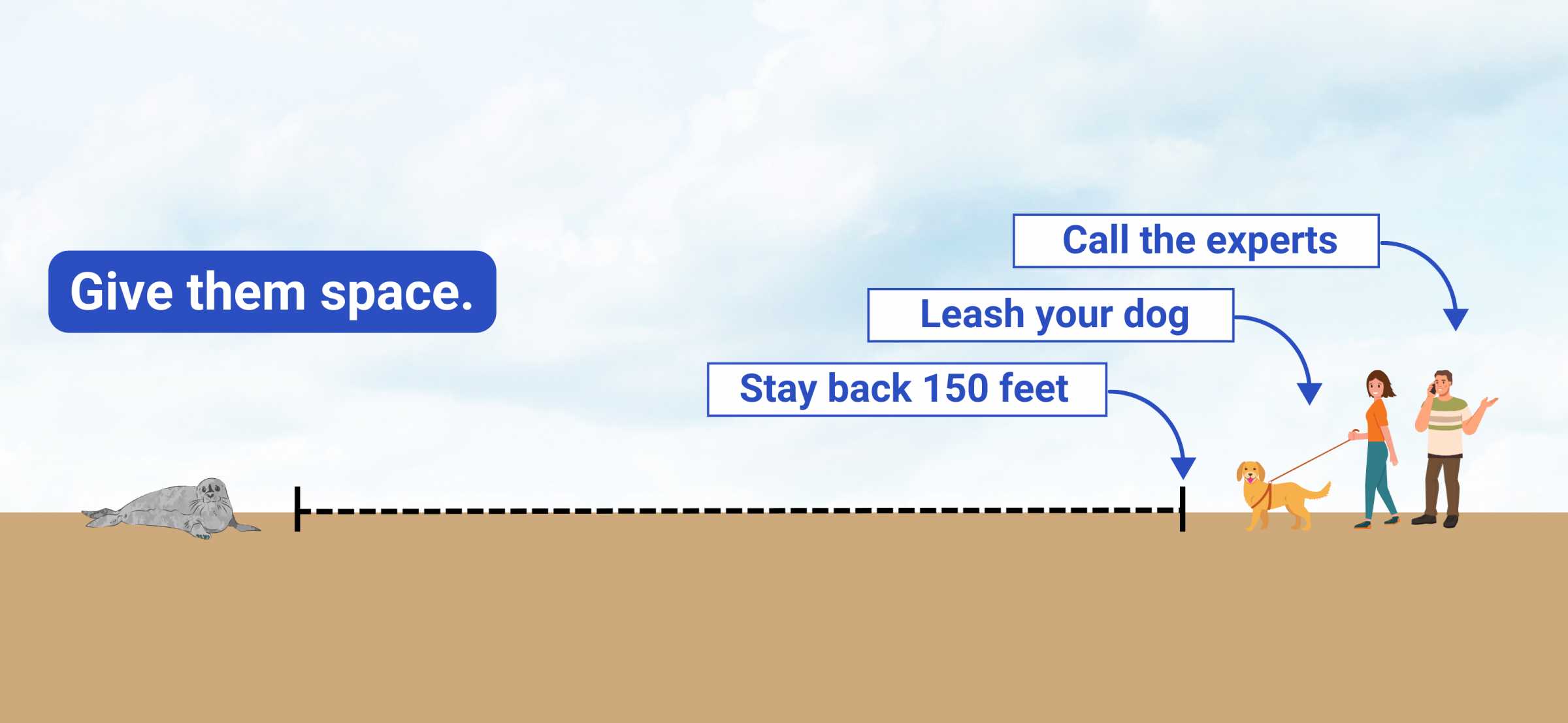 How to Keep Your Dog Safe on Beaches | The Marine Mammal Center