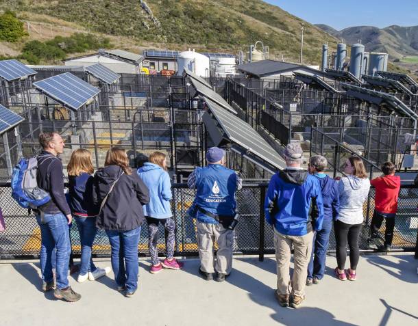 Home | The Marine Mammal Center