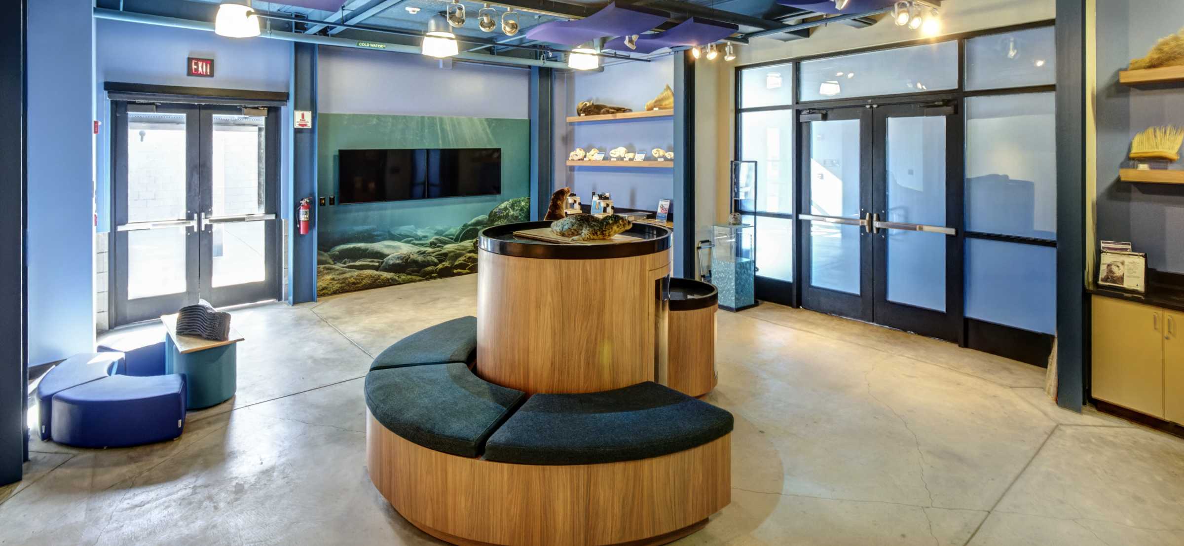 The Marine Mammal Center Reopens with Significant Renovations | The ...