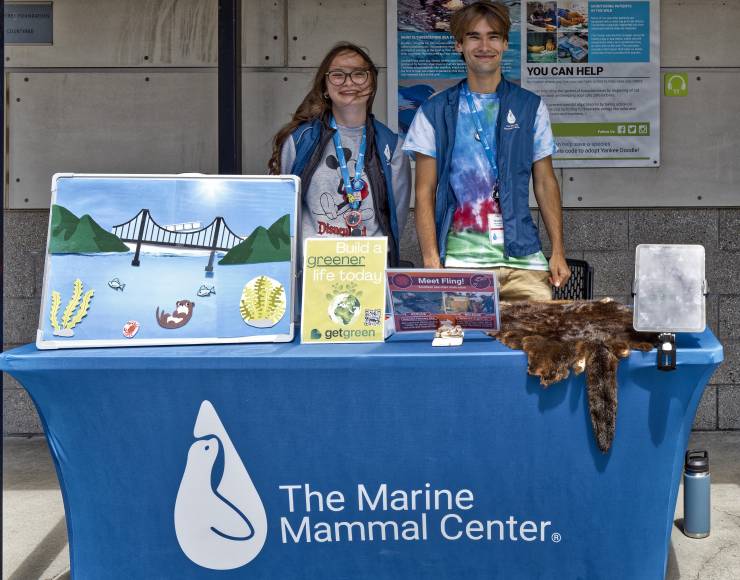 Research Library | The Marine Mammal Center