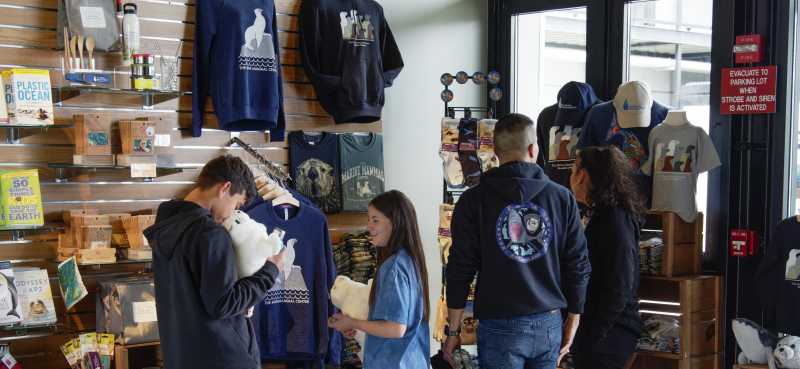 Fun Things to Do in the Bay Area This Fall and Winter | The Marine ...