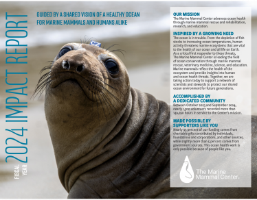 Impact Reports | The Marine Mammal Center