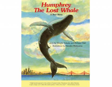 The Marine Mammal Center | Top Eco Friendly Holiday Gifts that Give Back