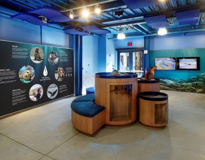 Home | The Marine Mammal Center