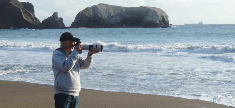 Your Visual Guide to Whale Breaching, Lunge Feeding and Other Behaviors ...