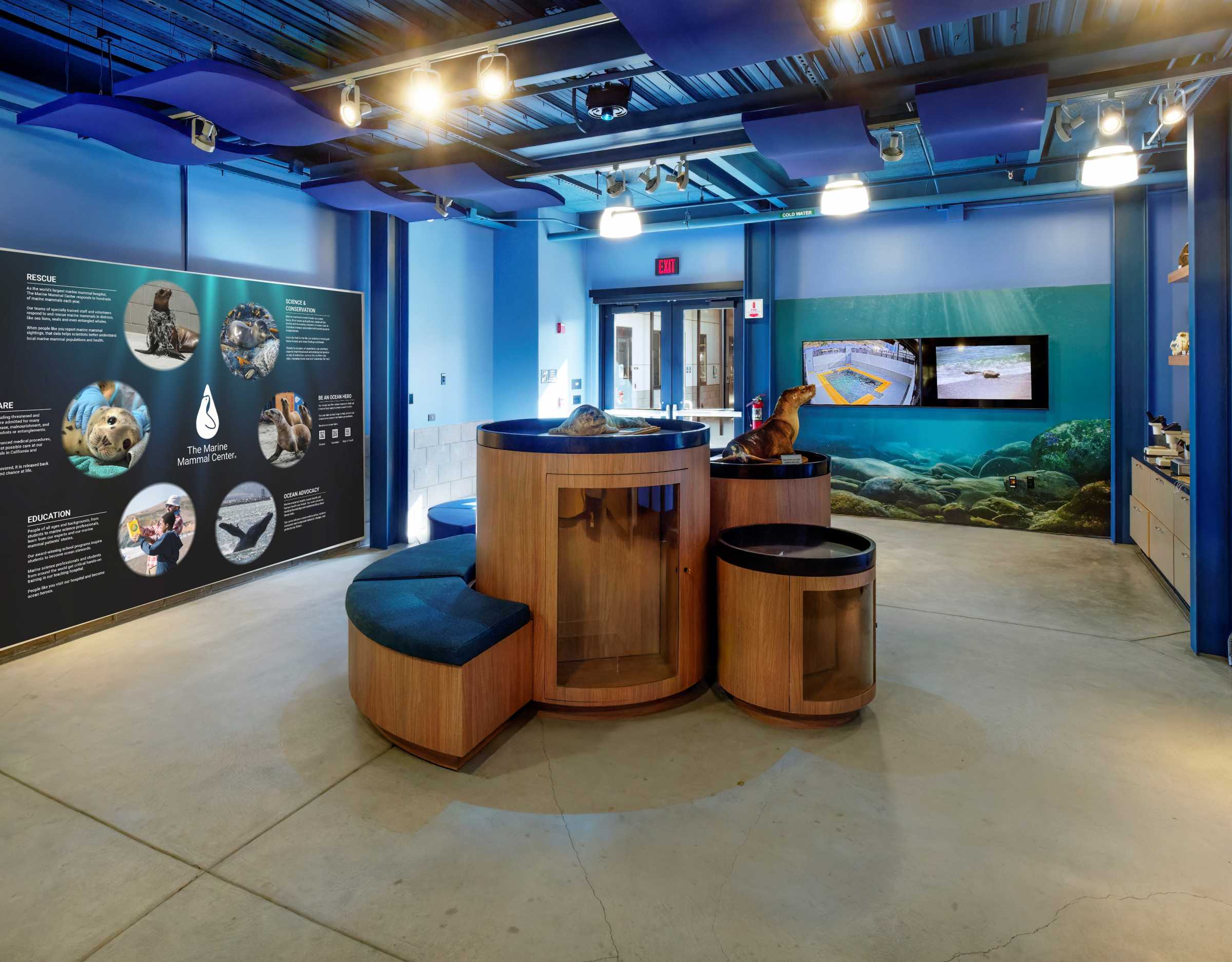 San Francisco Design Week: The Marine Mammal Center - Interior ...