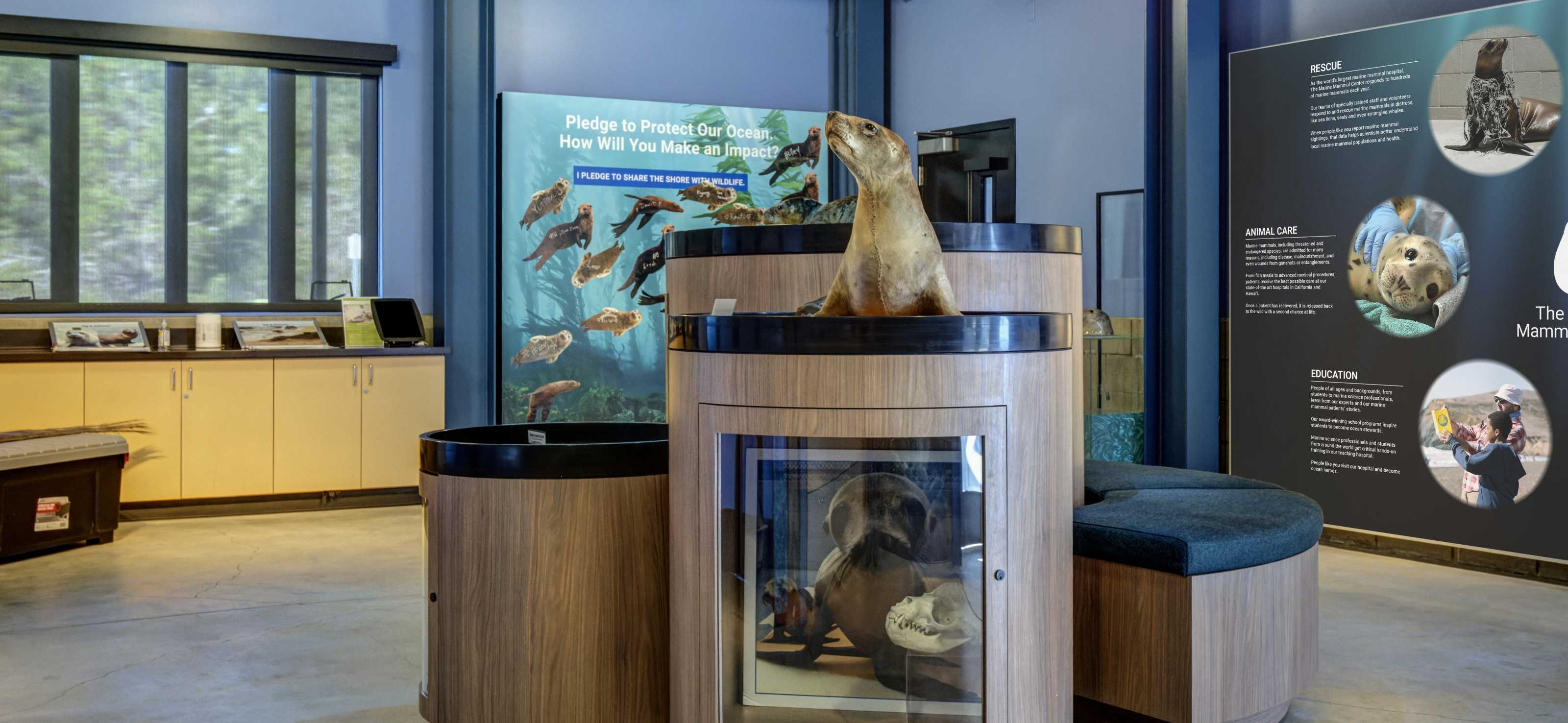 Fun Things to Do in the Bay Area This Fall and Winter | The Marine ...