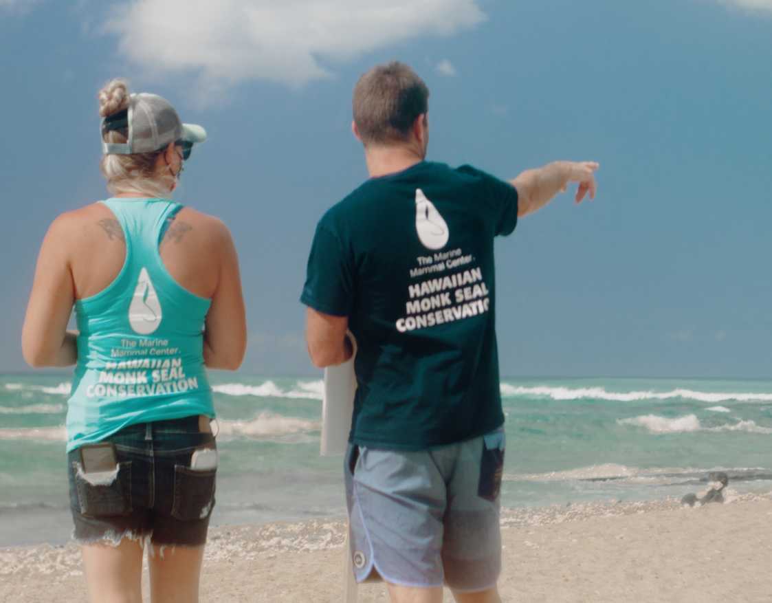 Hawaiian Monk Seal Conservation | The Marine Mammal Center