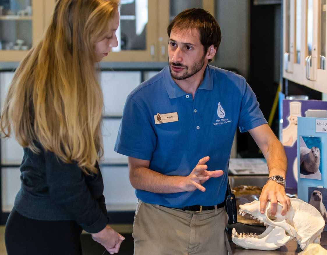 Why Should We Talk About Climate Change? | The Marine Mammal Center