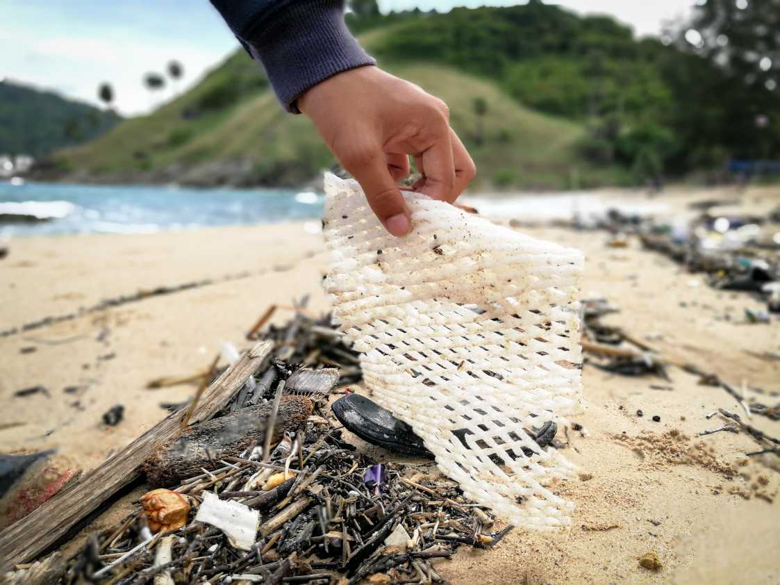 Ocean Trash | The Marine Mammal Center