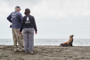 How to Keep Your Dog Safe on Beaches | The Marine Mammal Center